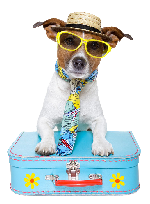 Online reservations :: Oli Pet Care